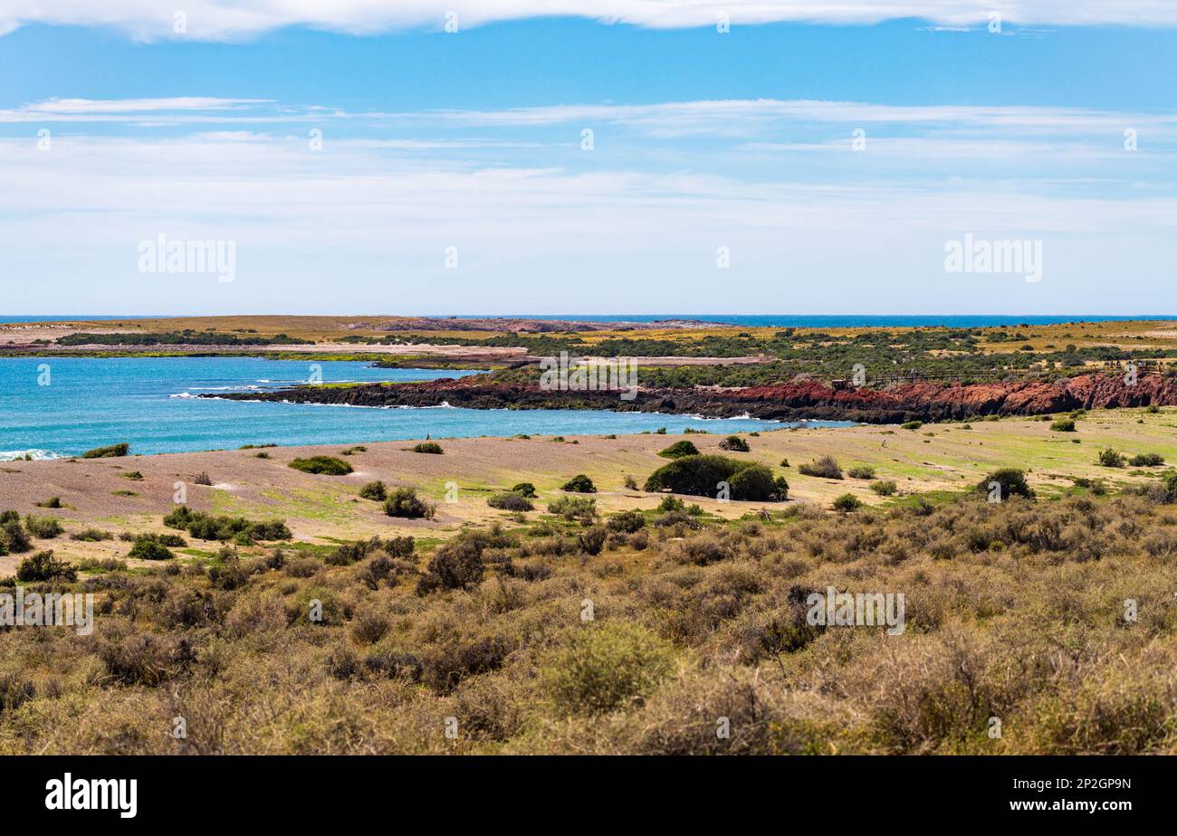 Landscape of the Punta Tombo magellanic penguin colony in Chubut ...