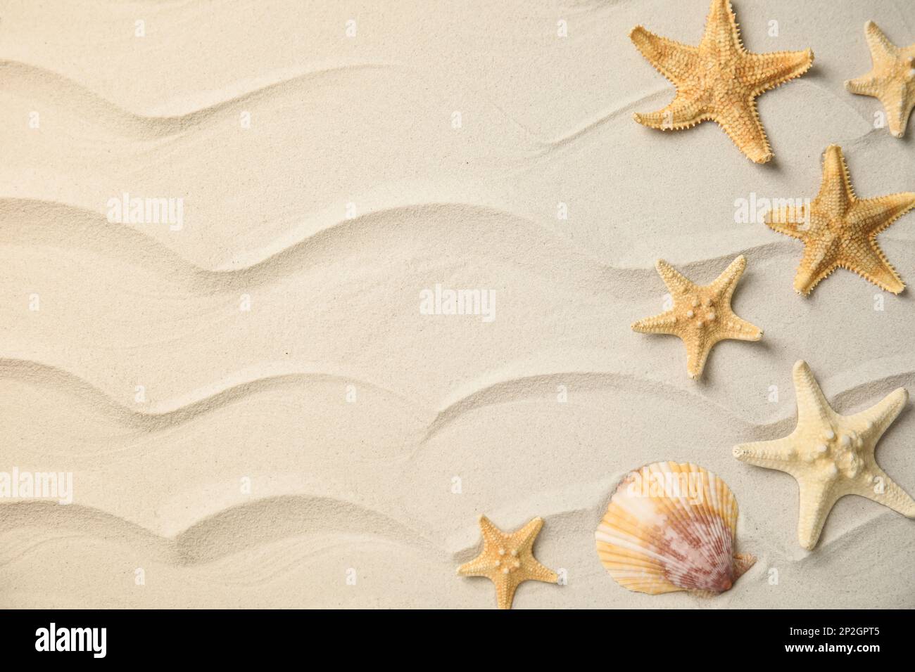 Beautiful sea stars and shell on sand, flat lay. Space for text Stock ...