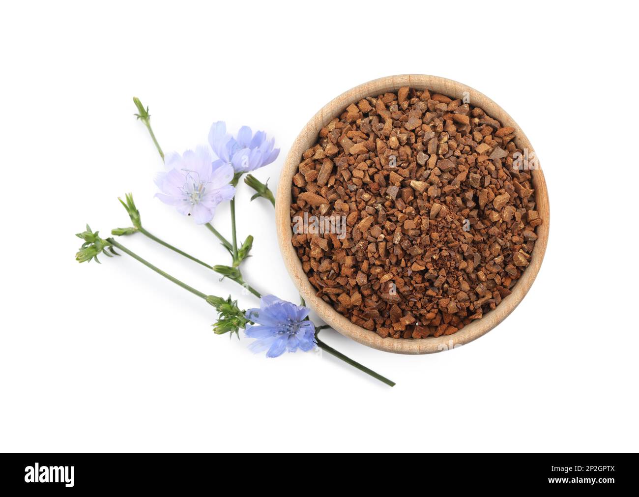 Bowl of chicory granules and flowers on white background, top view ...