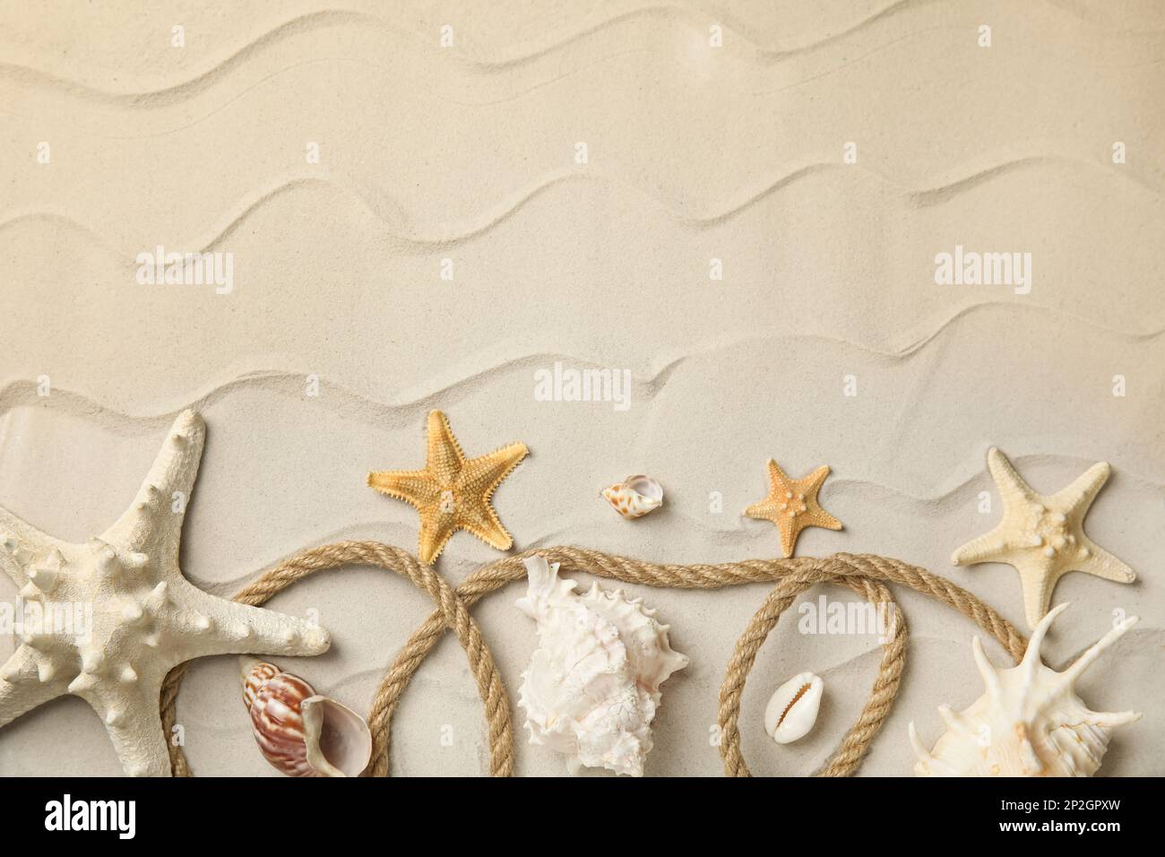 Beautiful sea stars, shells and rope on sand, flat lay. Space for text ...