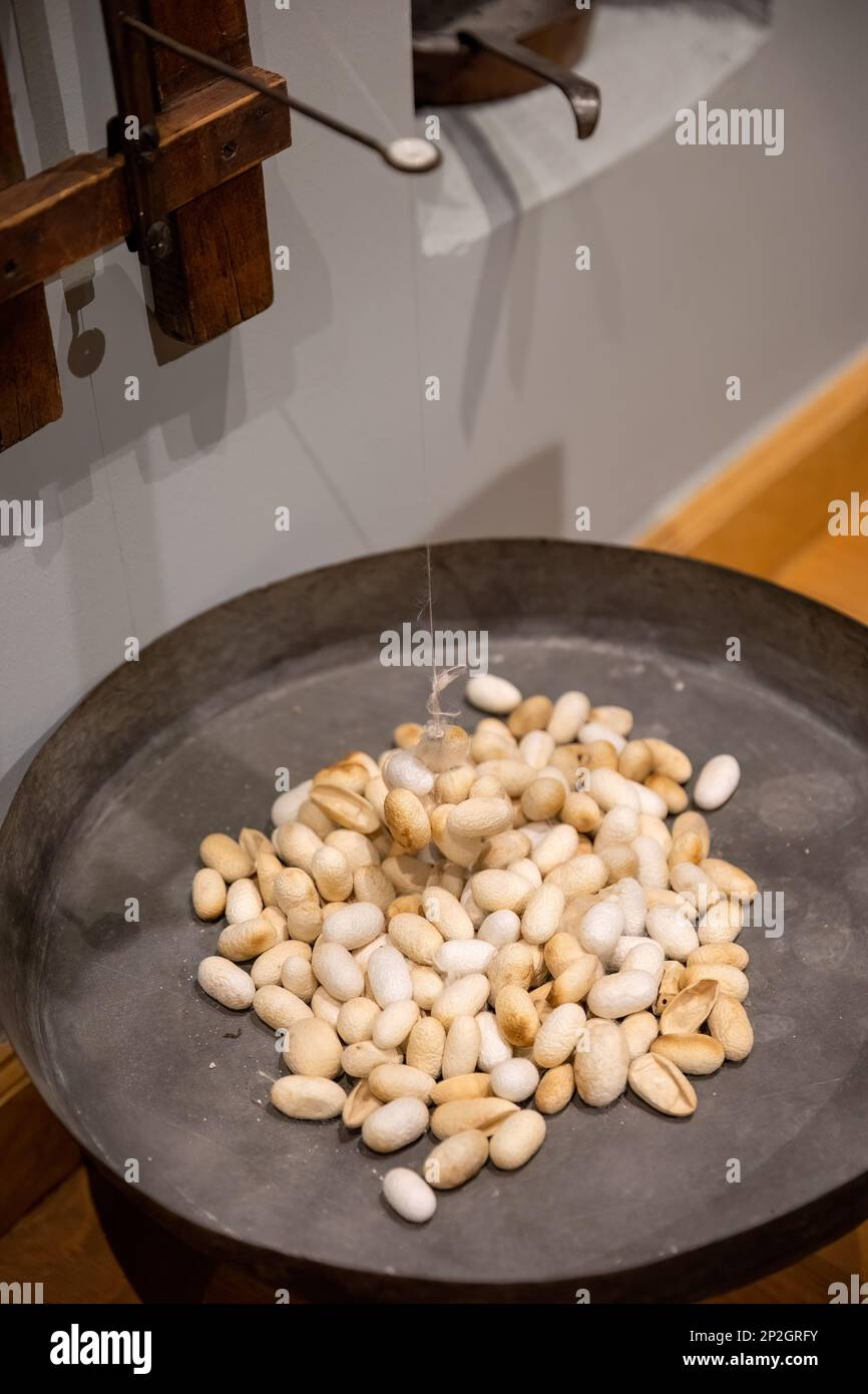 Sericulture step by step silk production process Stock Photo - Alamy