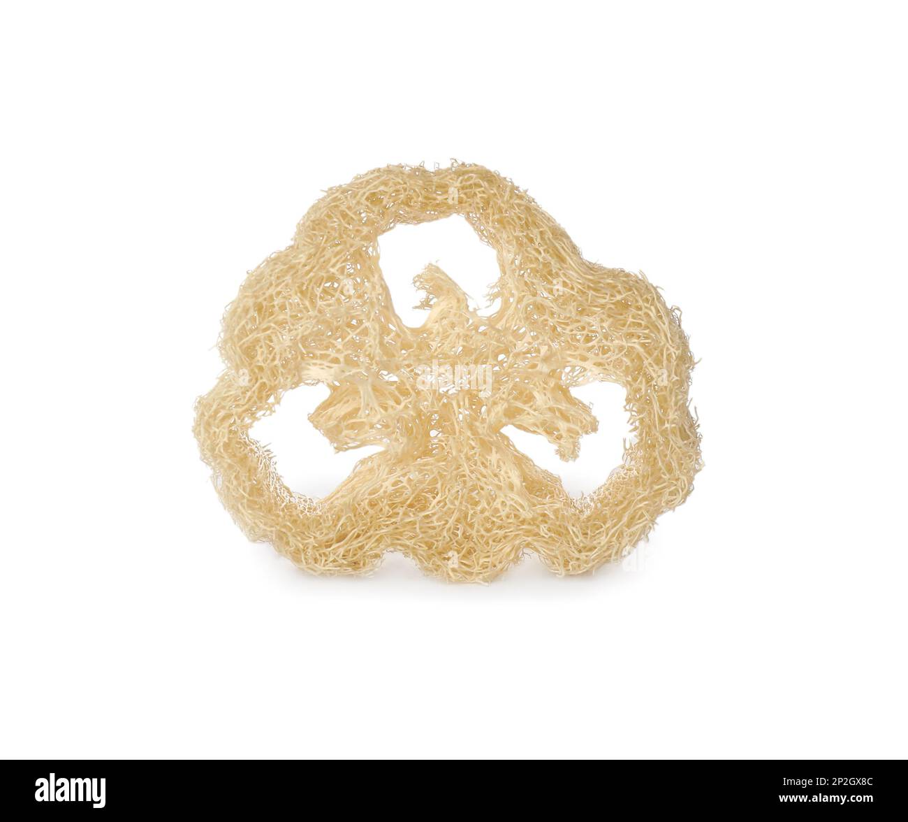 One natural loofah sponge isolated on white Stock Photo - Alamy