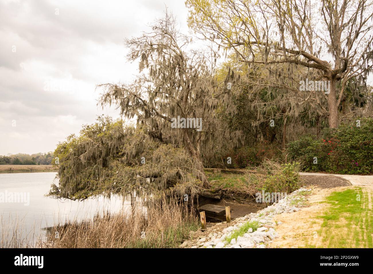 Magnolia Plantation and Gardens in Charleston, South Carolina. Historic low country plantation ...