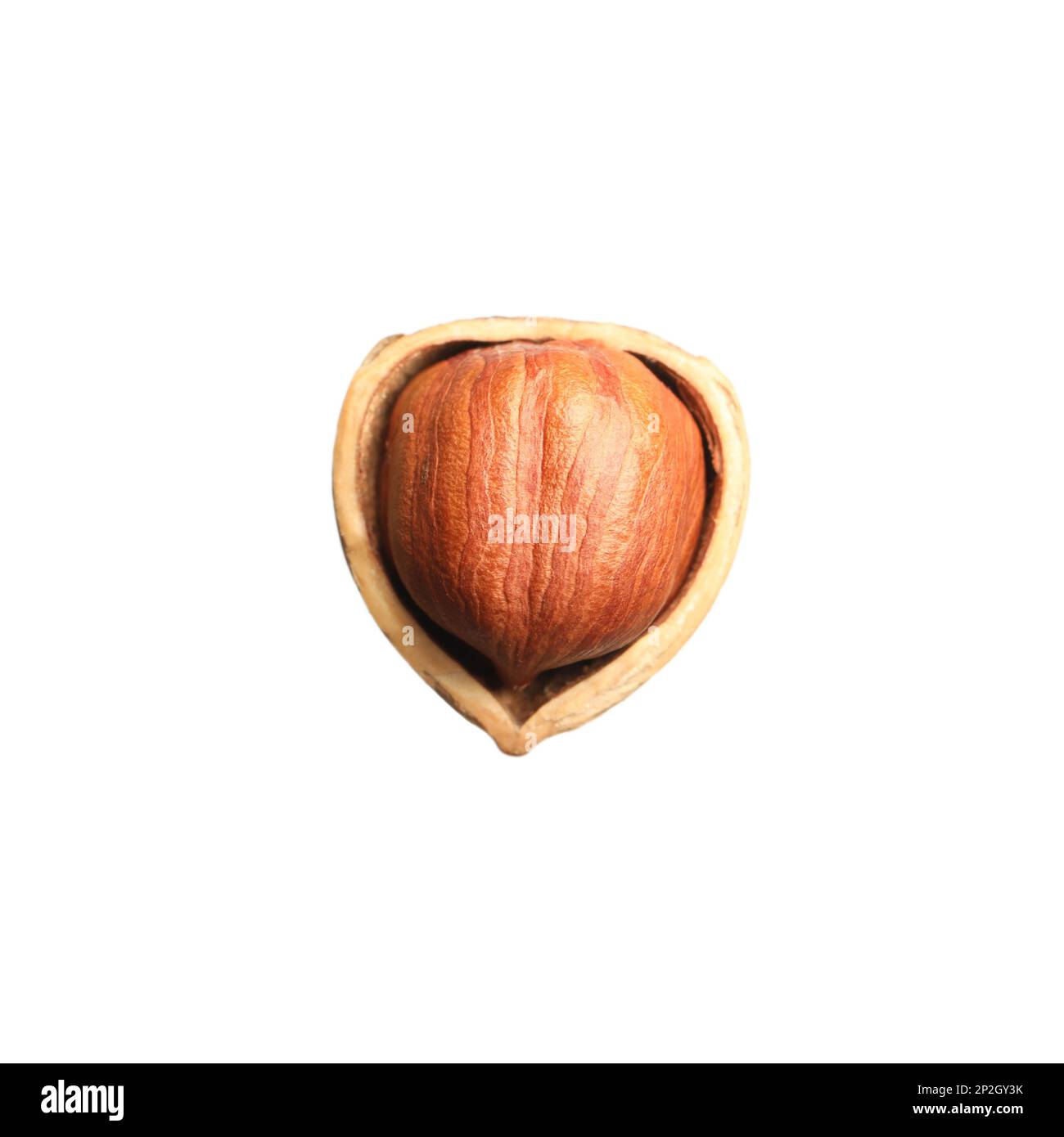 Hazelnut in shell hi-res stock photography and images - Alamy