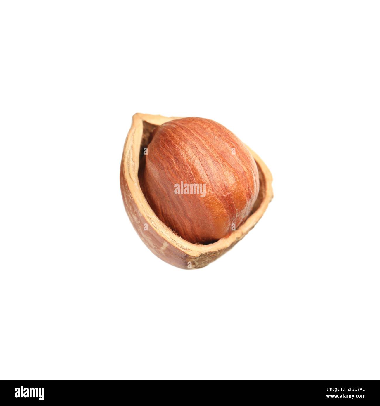 Hazelnut in shell hi-res stock photography and images - Alamy