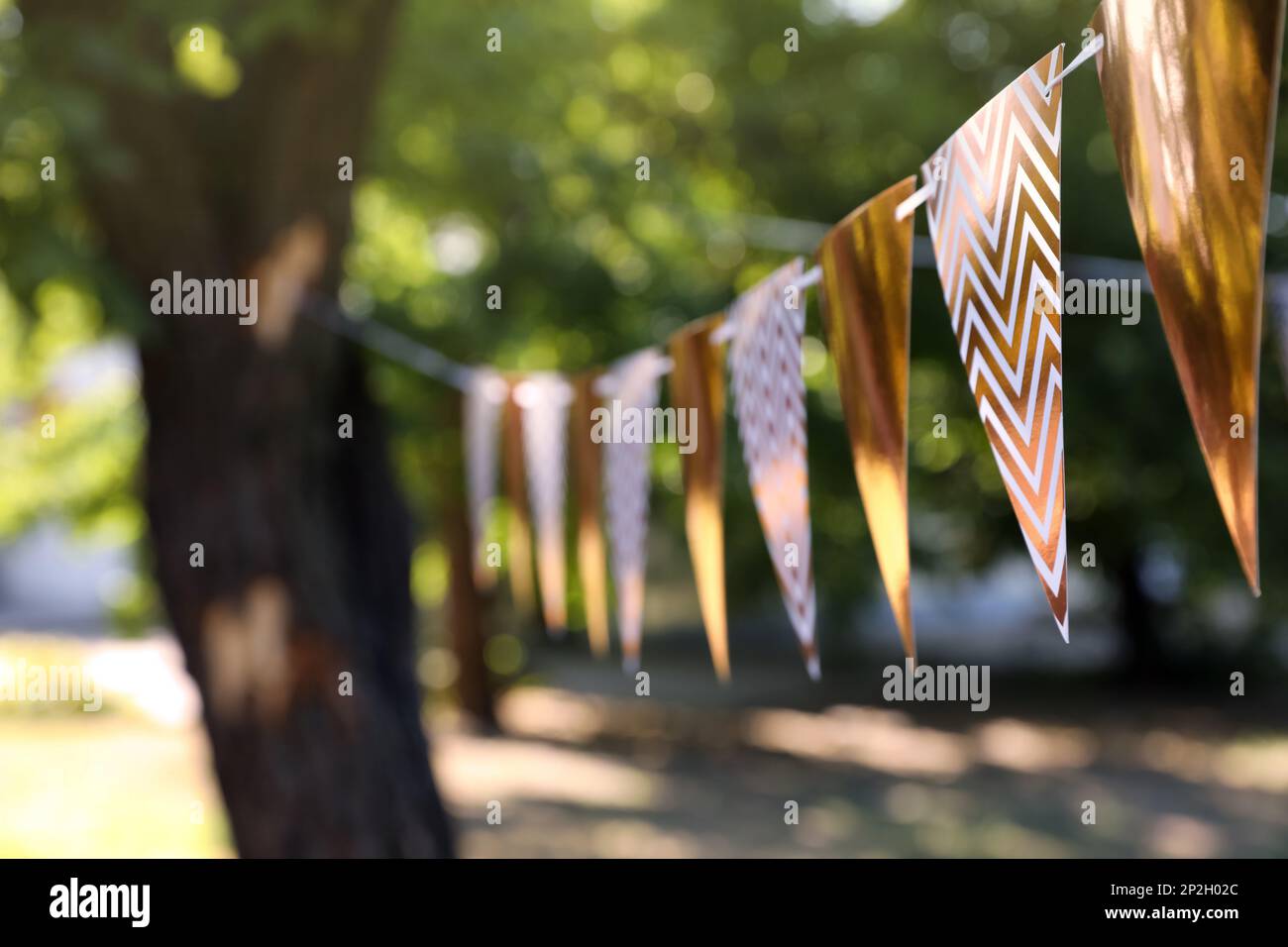 Golden bunting hi-res stock photography and images - Alamy