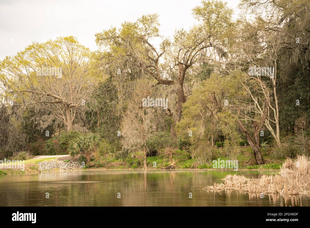 Magnolia Plantation and Gardens in Charleston, South Carolina. Historic low country plantation ...