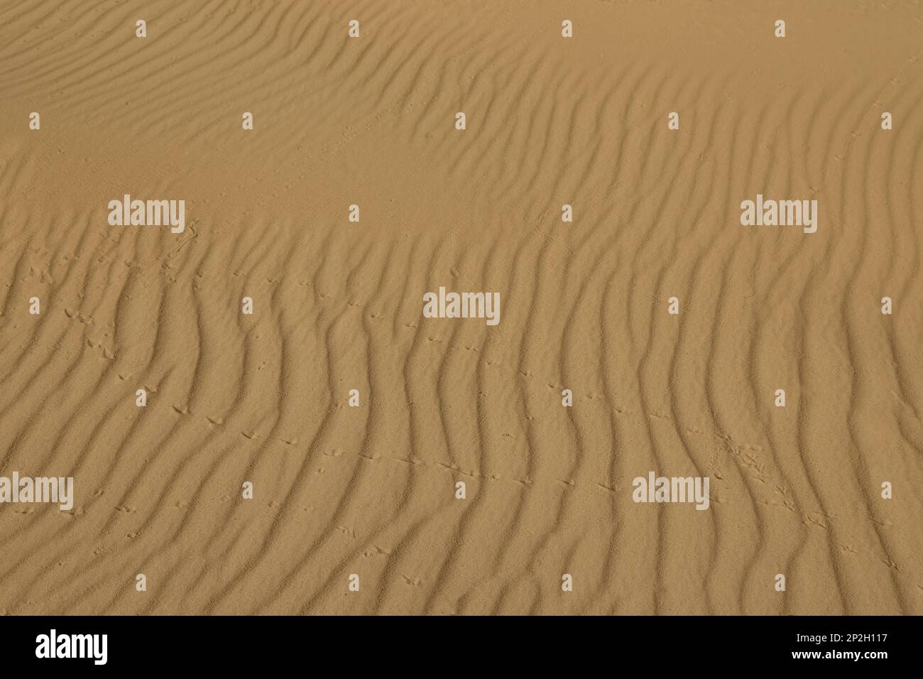 Closeup view of sand dune in desert as background Stock Photo - Alamy