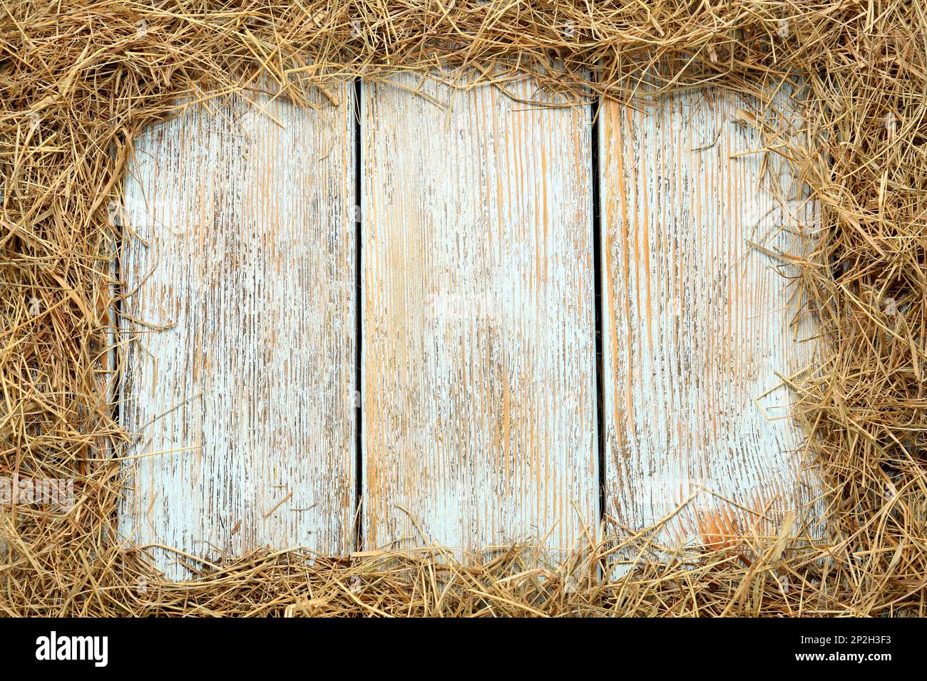 Frame of dried hay on light wooden background, flat lay. Space for text ...