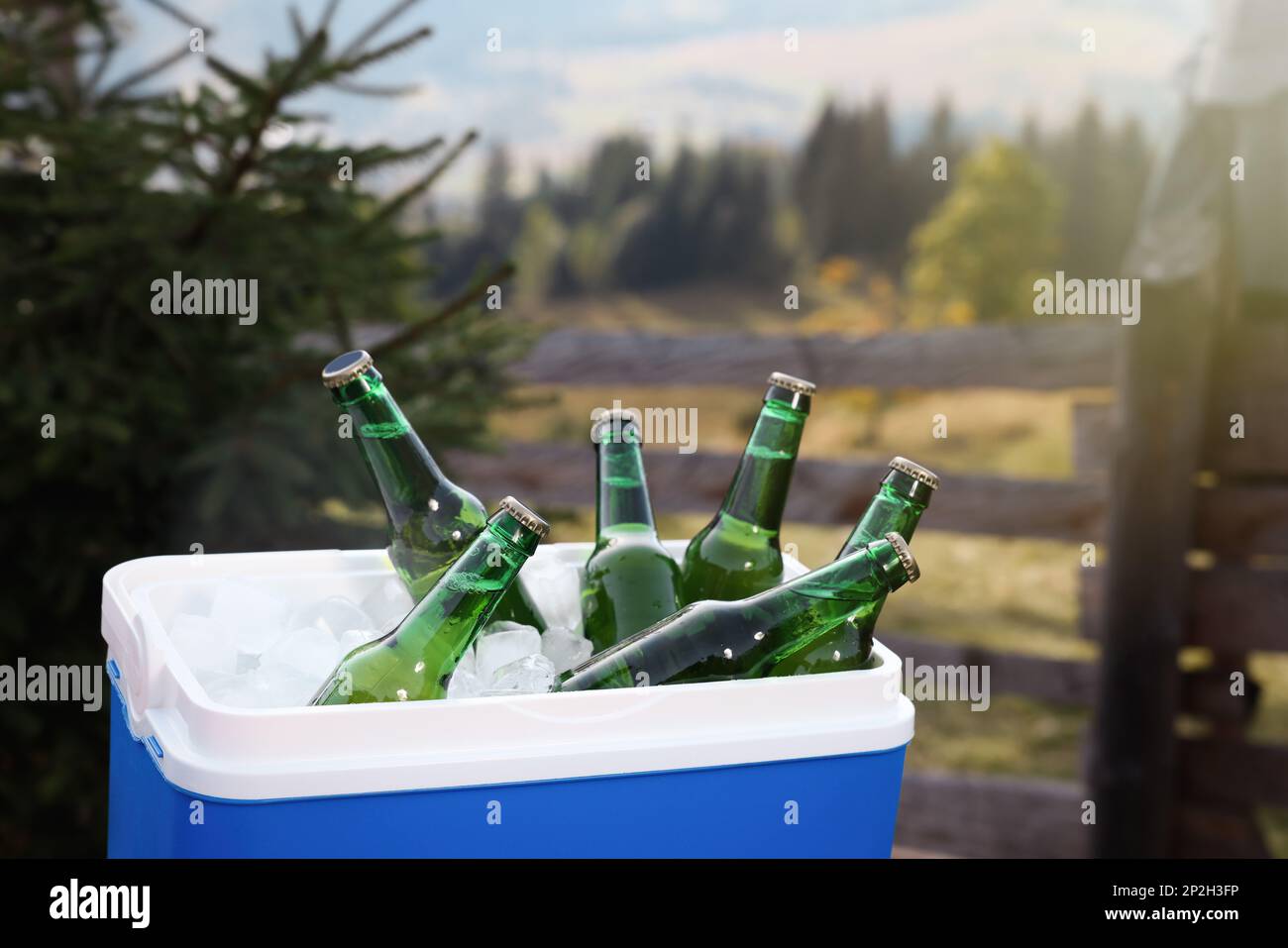 Cool box with bottles of beer in nature Stock Photo - Alamy