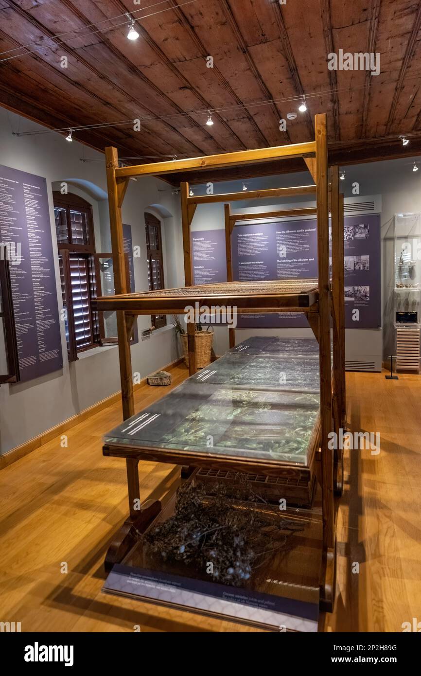 Sericulture step by step silk production process Stock Photo - Alamy