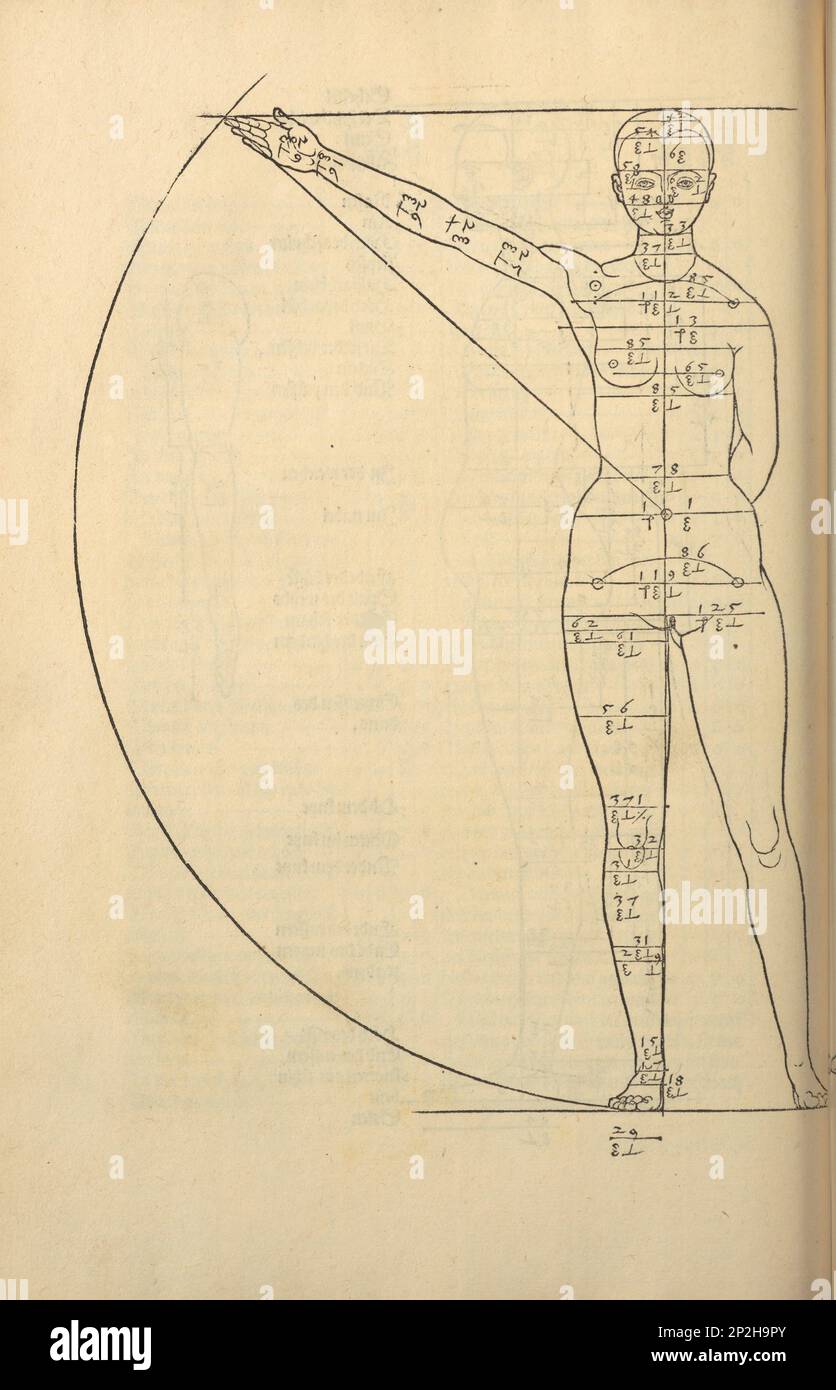 Illustration from the Four Books on Human Proportion, 1528. Private ...