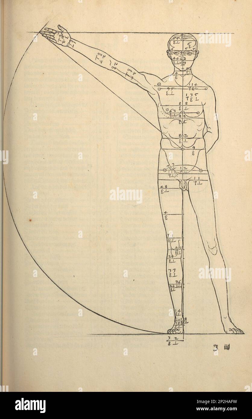 Illustration from the Four Books on Human Proportion, 1528. Private ...