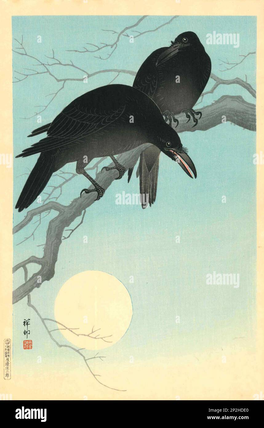 Animals in moonlight hi-res stock photography and images - Alamy