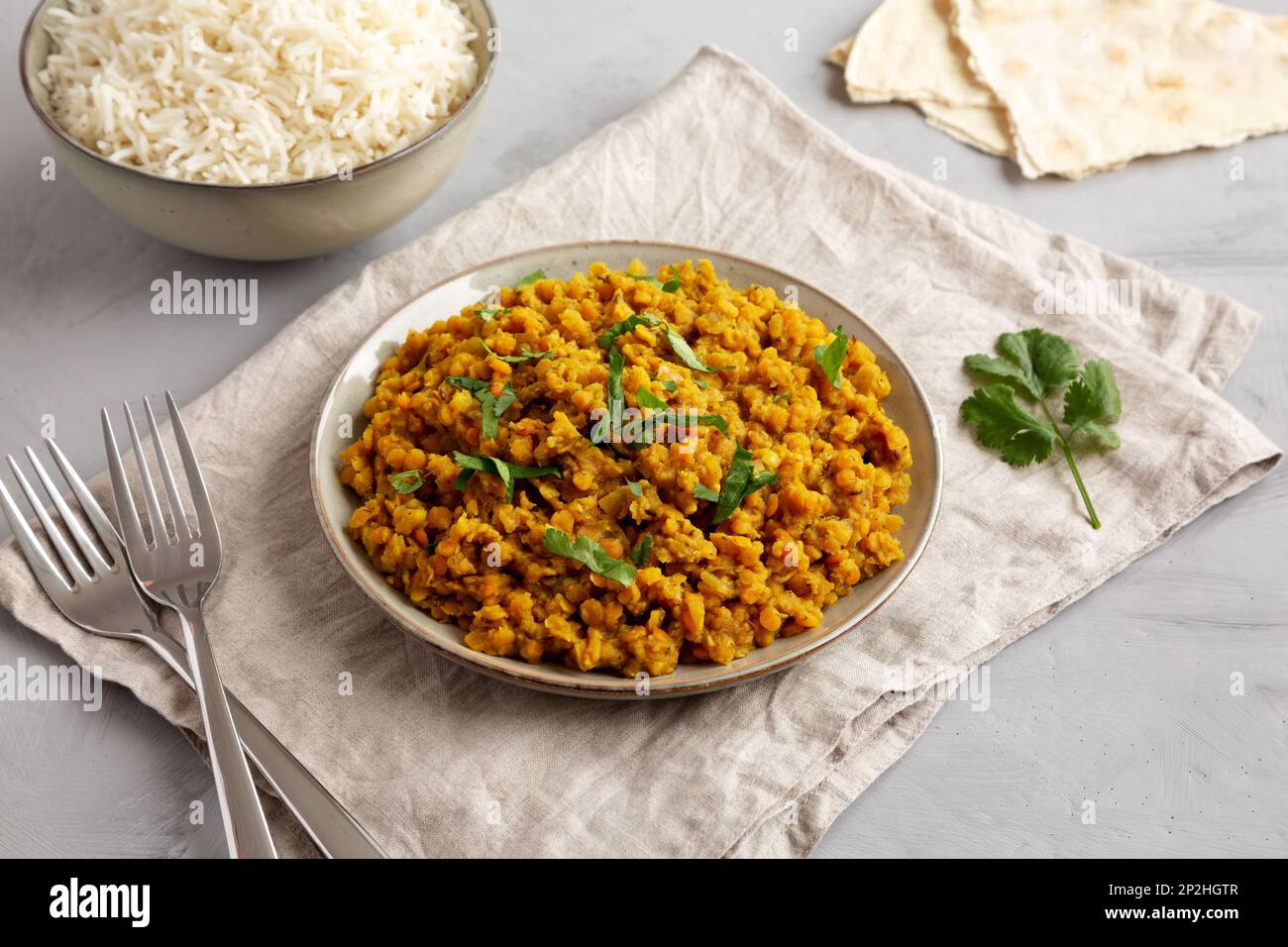 Homemade Red Lentil Dahl with Rice and Cilantro on a gray background ...
