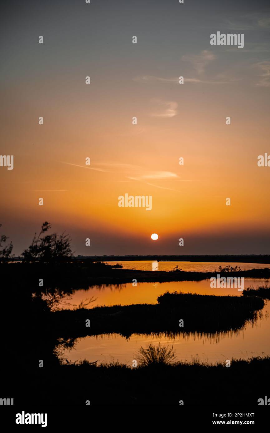 Evros delta national park hi-res stock photography and images - Alamy