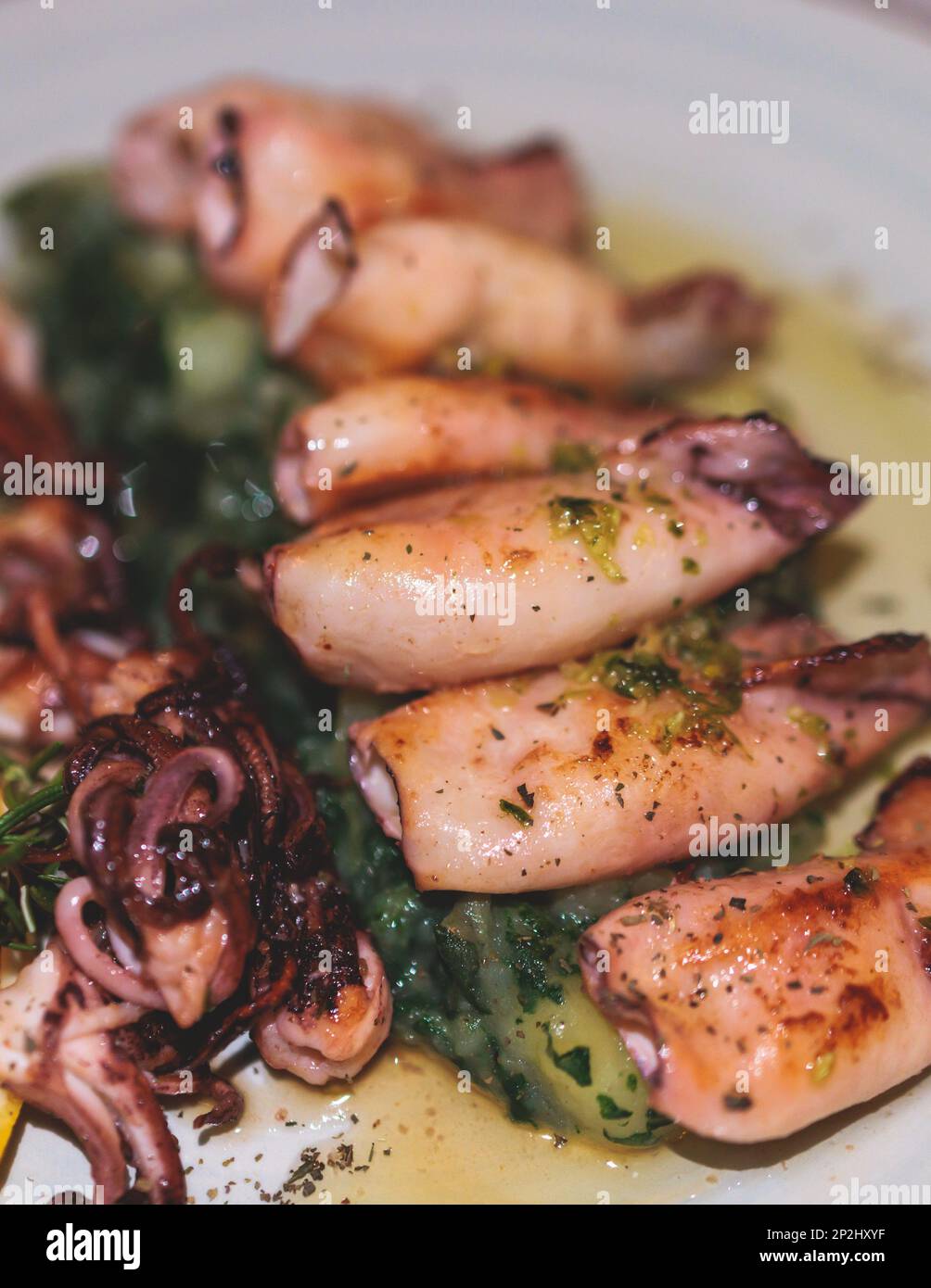 Fried grilled baby squids on a plate with garlic, lemon and mashed ...