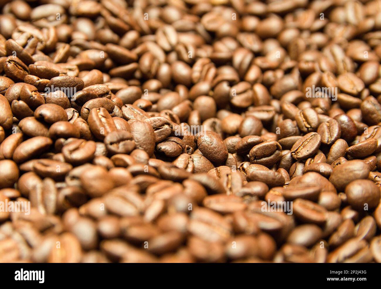 Columbian coffee bean are photographed after the roasting process, at ...