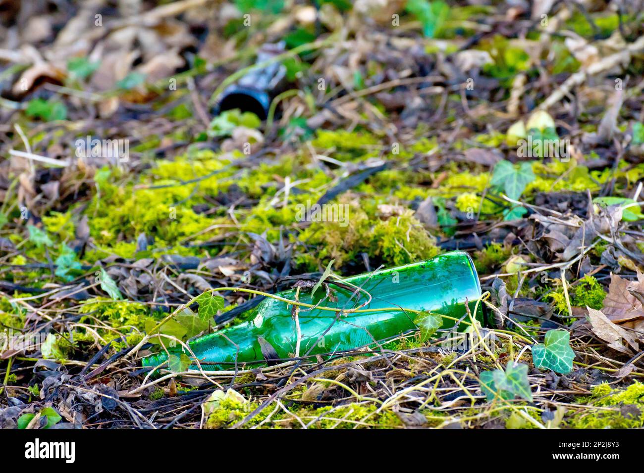 Close up of a green glass beer bottle carelessly discarded as litter in ...