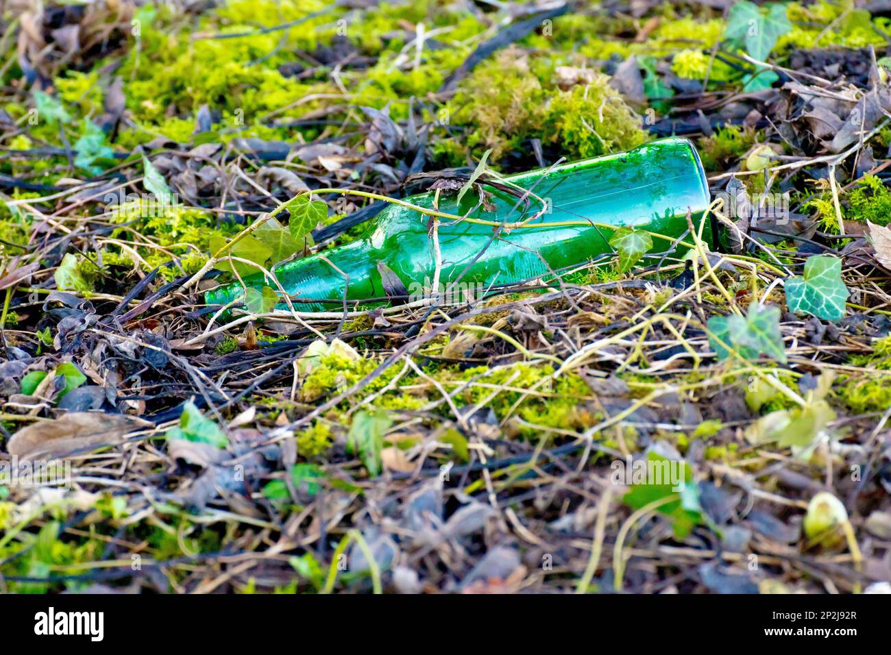 Close up of a green glass beer bottle carelessly discarded as litter in ...