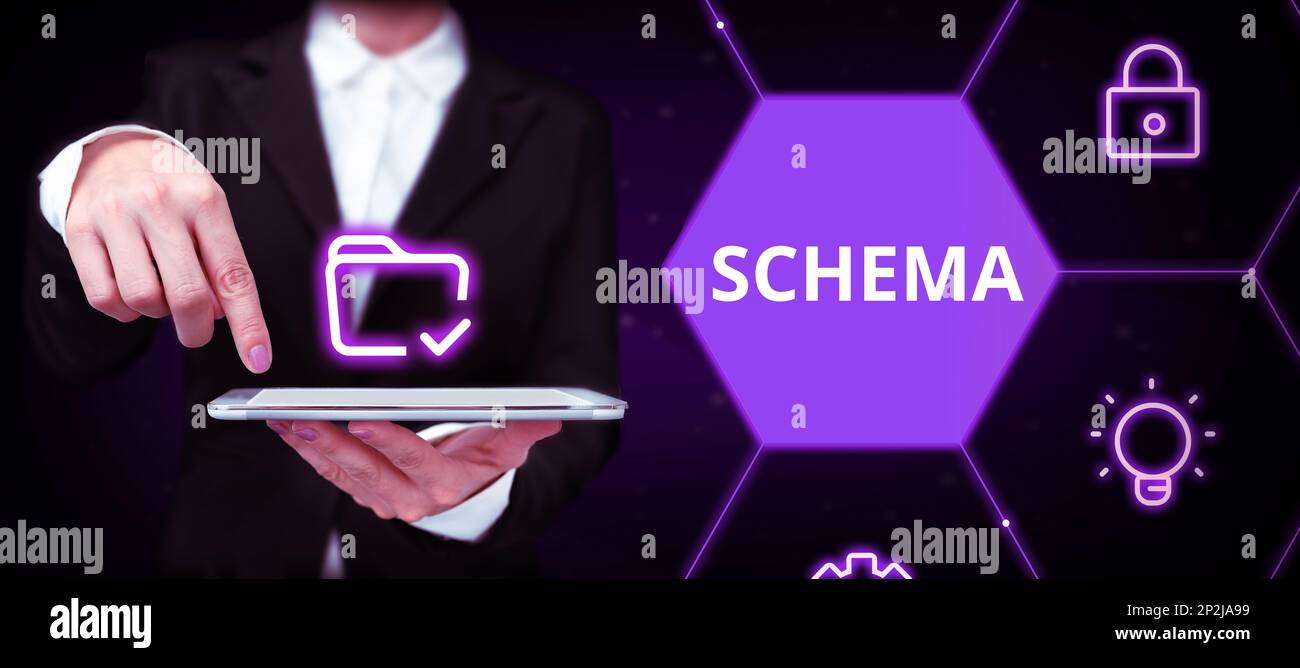 Conceptual display Schema. Business overview representation of plan or ...