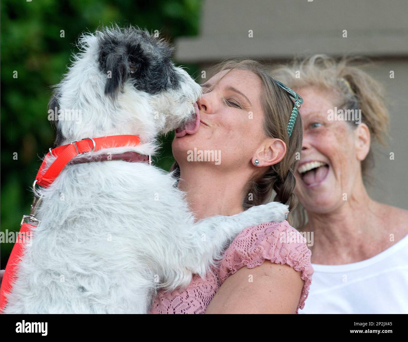 Nicole Wessel is kissed by her dog Bobby during the Dog Days of ...