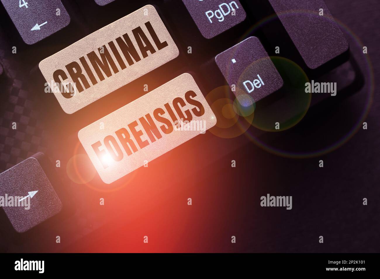 Conceptual display Criminal Forensics. Word Written on Federal Offense ...
