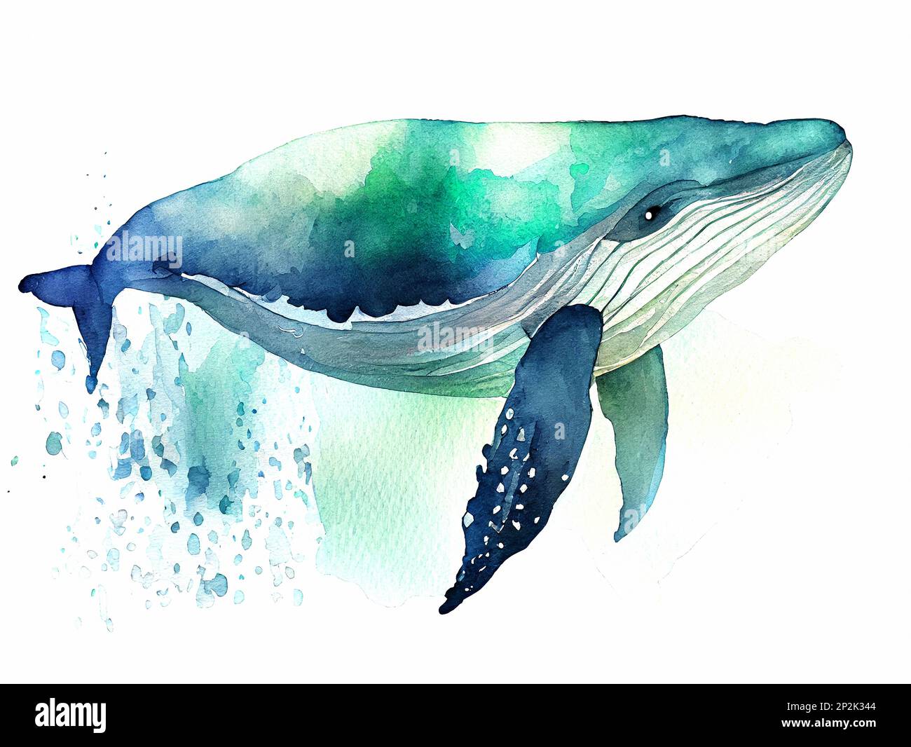 Sea animals watercolor hi-res stock photography and images - Alamy