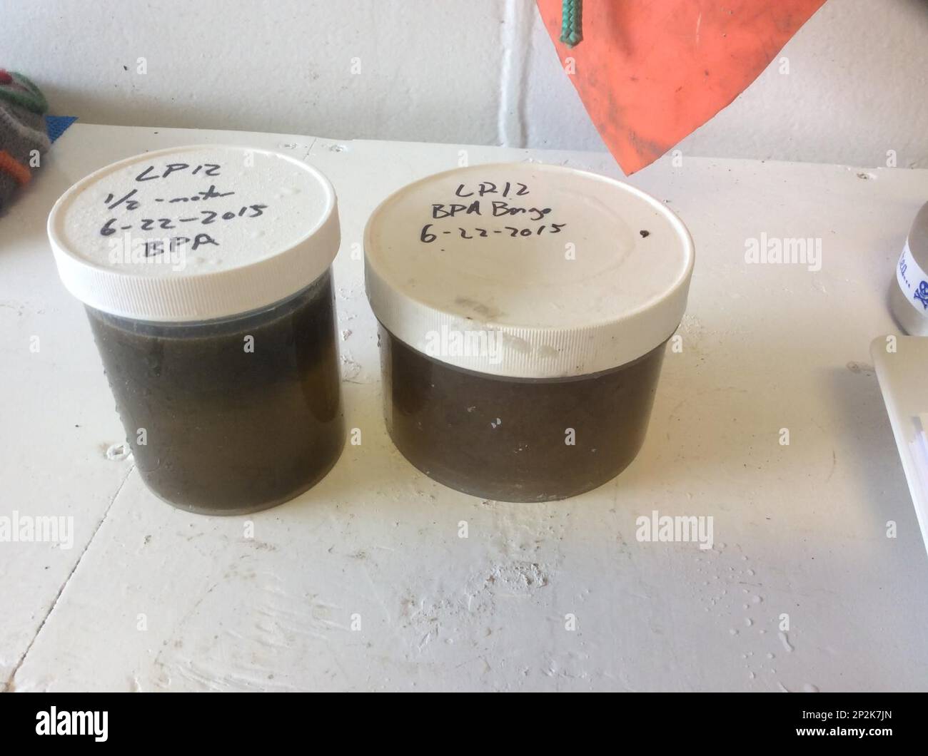 In this undated handout photo provided by NOAA Fisheries, samples of ...