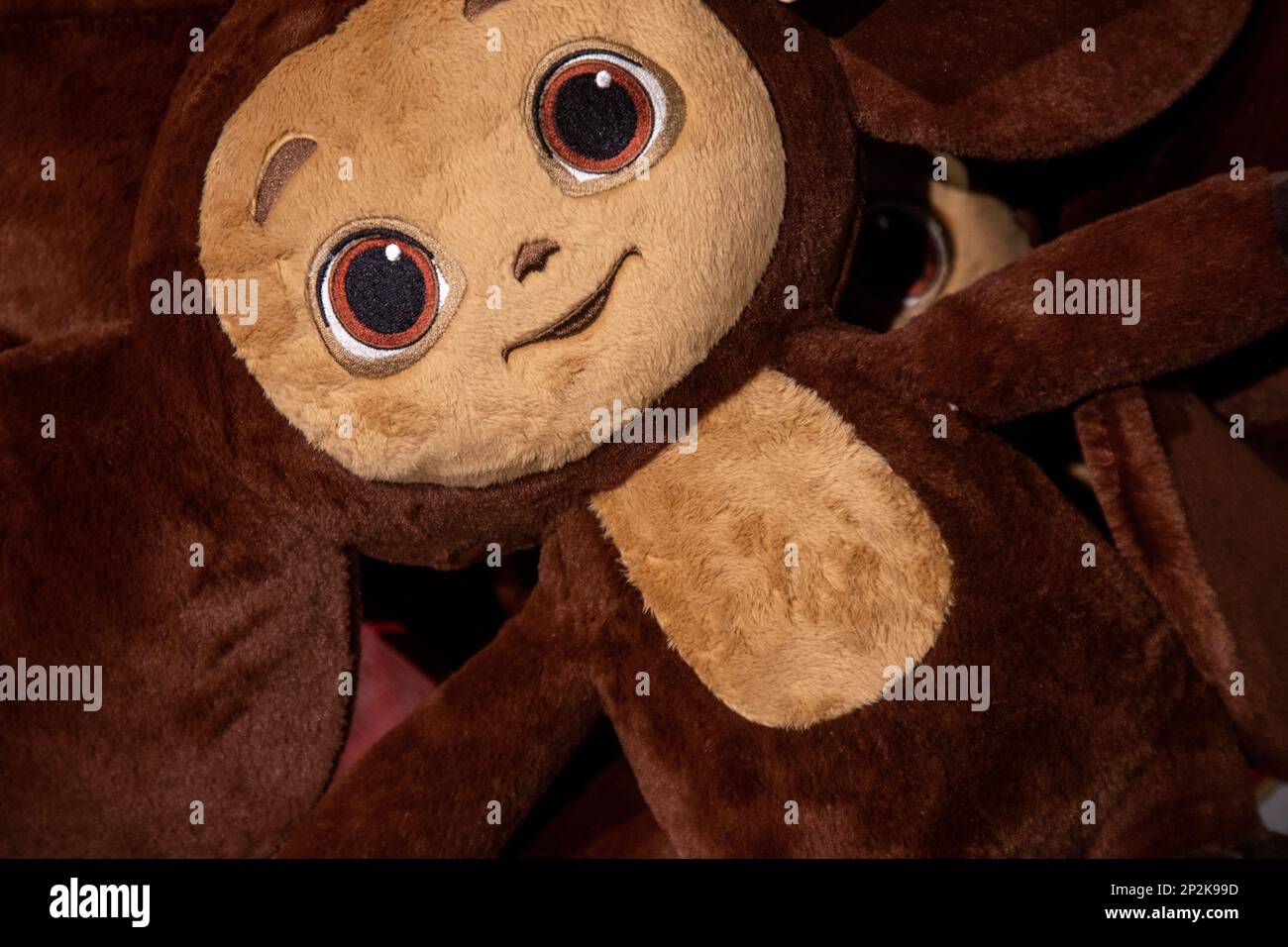 A soft toy Cheburashka lies on the counter of a children's store in ...
