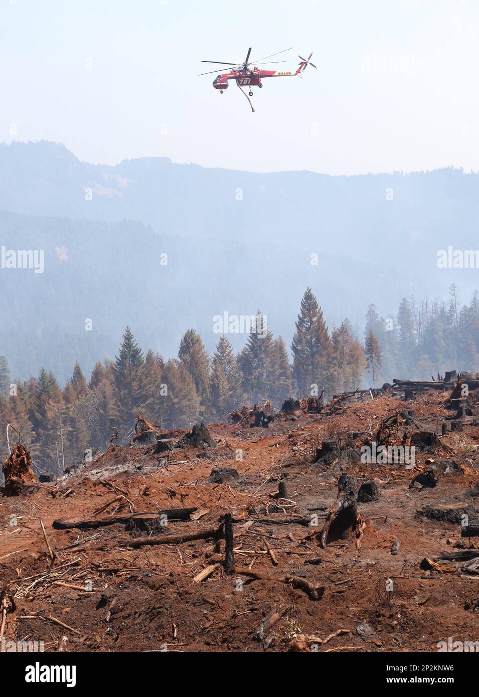 A firefighting helicopter passes over clear cut land burned by the ...