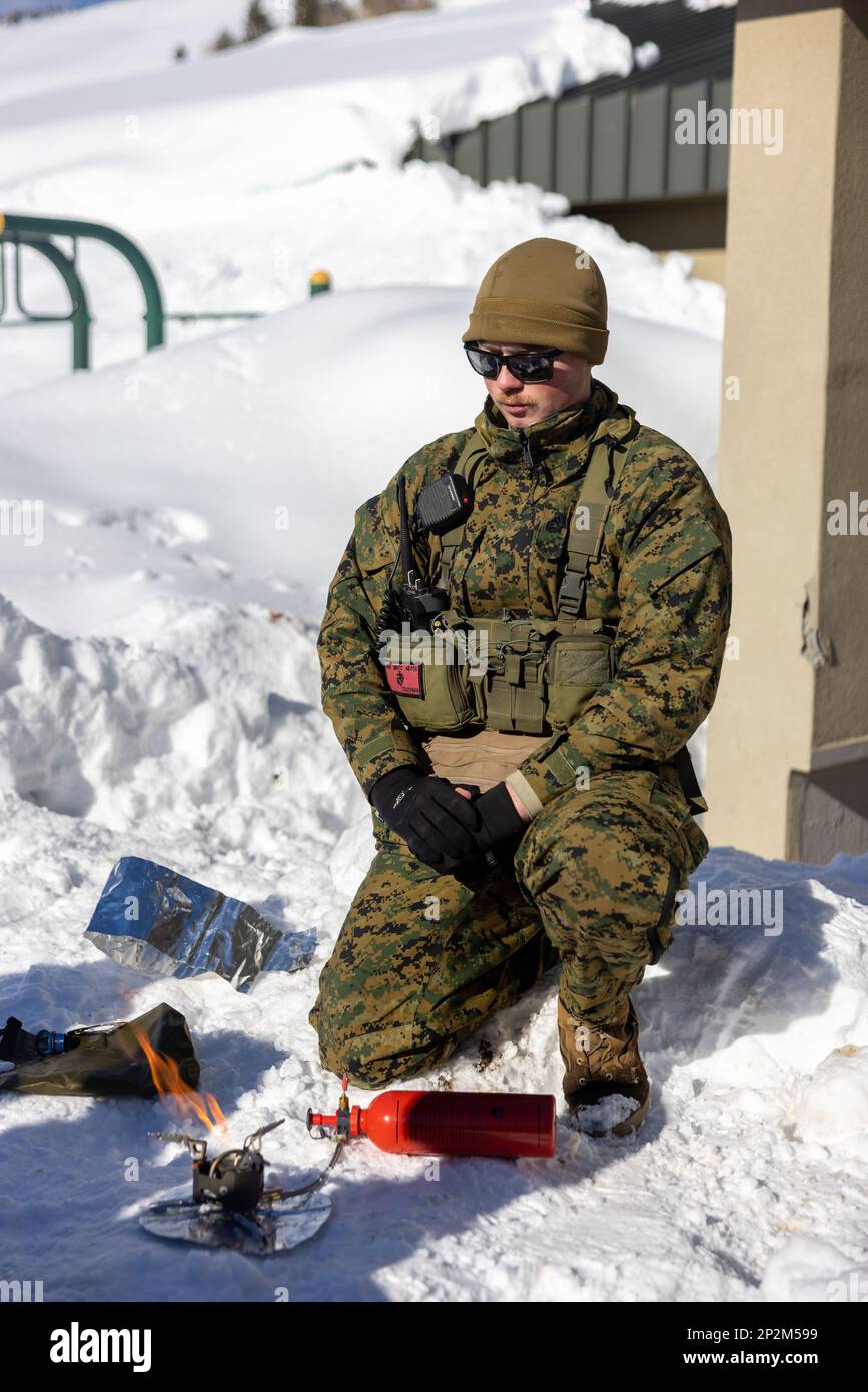 U.S. Marine Corps Sgt. Britton Couchman, a Clarksville, Tennessee ...