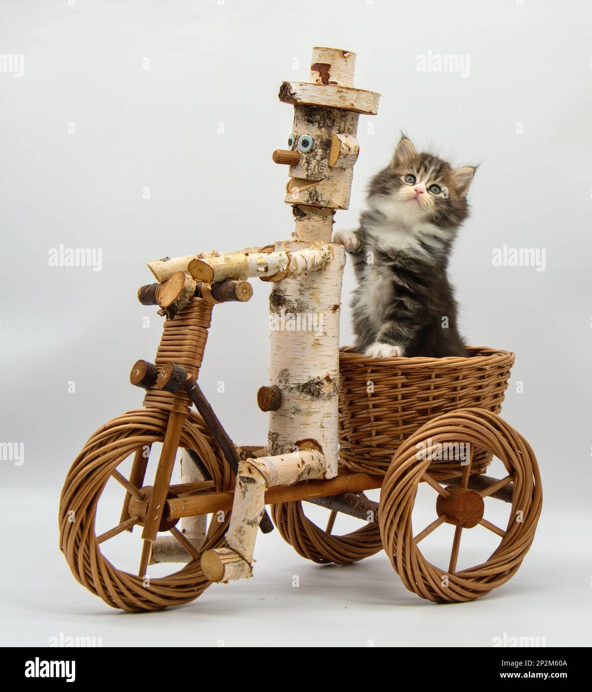 On tricycle photo hi-res stock photography and images - Alamy