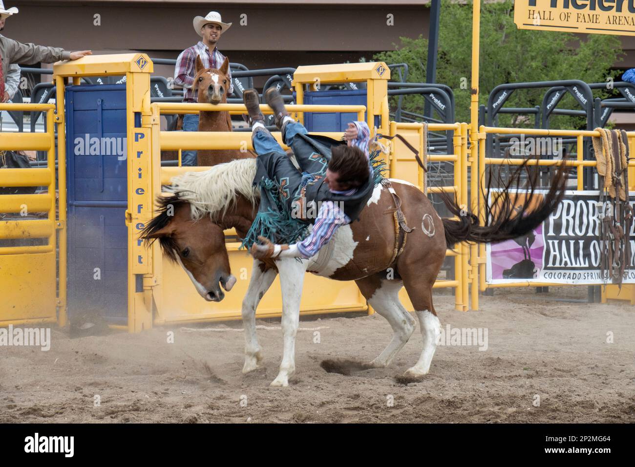 Bucking horse during ride hi-res stock photography and images - Alamy