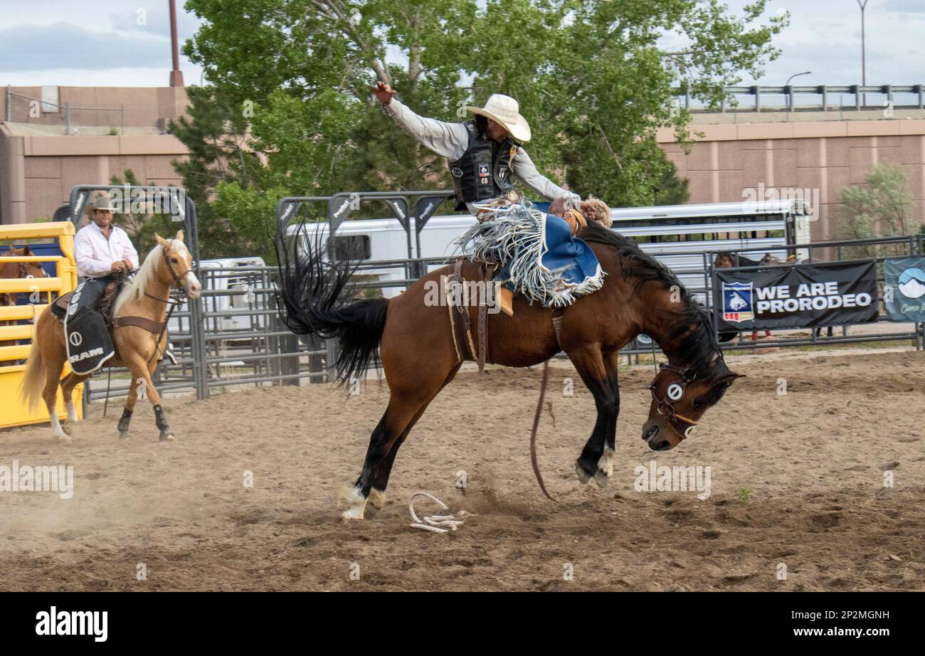 Cowboy tries to stay atop bucking horse during rodeo at Colorado ...