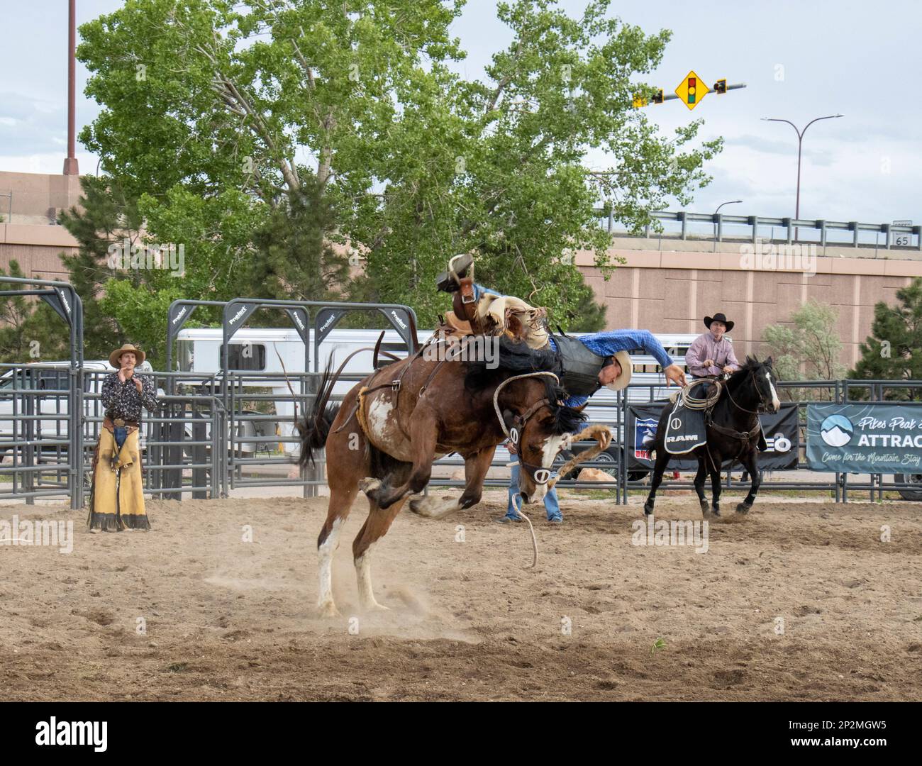 Cowboy tries to stay atop bucking horse during rodeo at Colorado ...