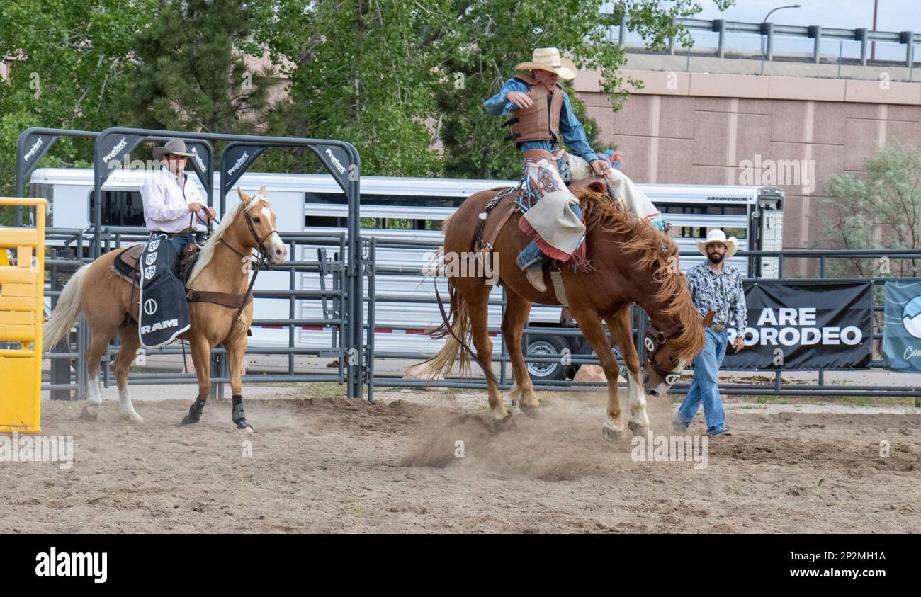 Cowboy tries to stay atop bucking horse during rodeo at Colorado ...