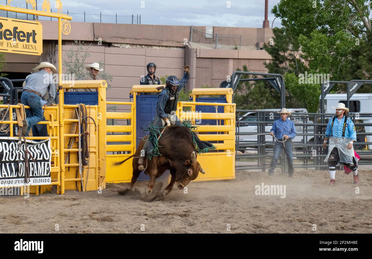 Cowboy tries to stay atop bucking bull during rodeo at Colorado Springs ...