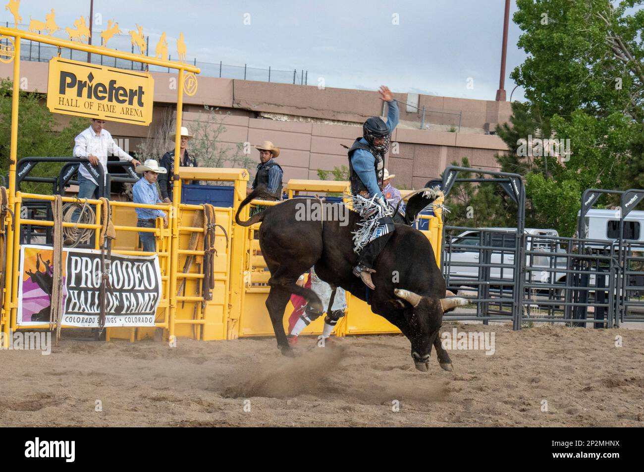 Cowboy tries to stay atop bucking bull during rodeo at Colorado Springs ...