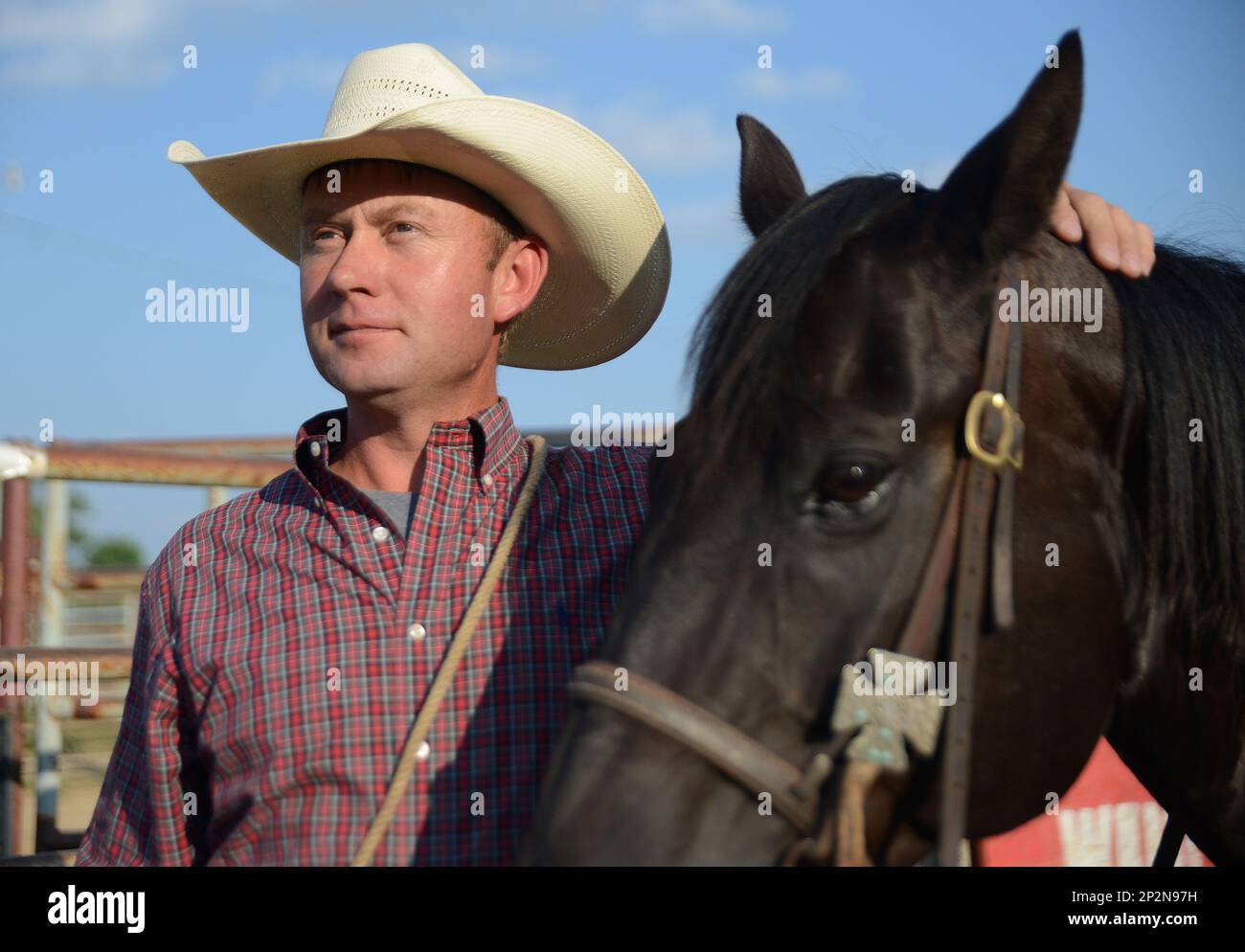 Sheridan, Wyoming, cowboy J.R. Olson stands by his horse Hollywod at ...