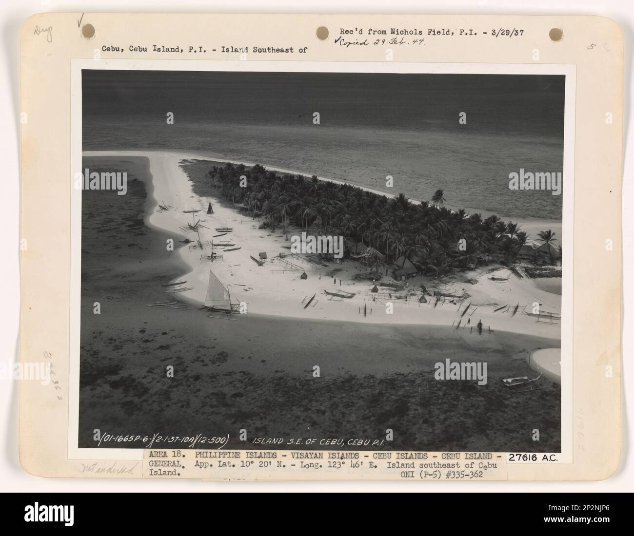 Cebu island birds hi-res stock photography and images - Alamy