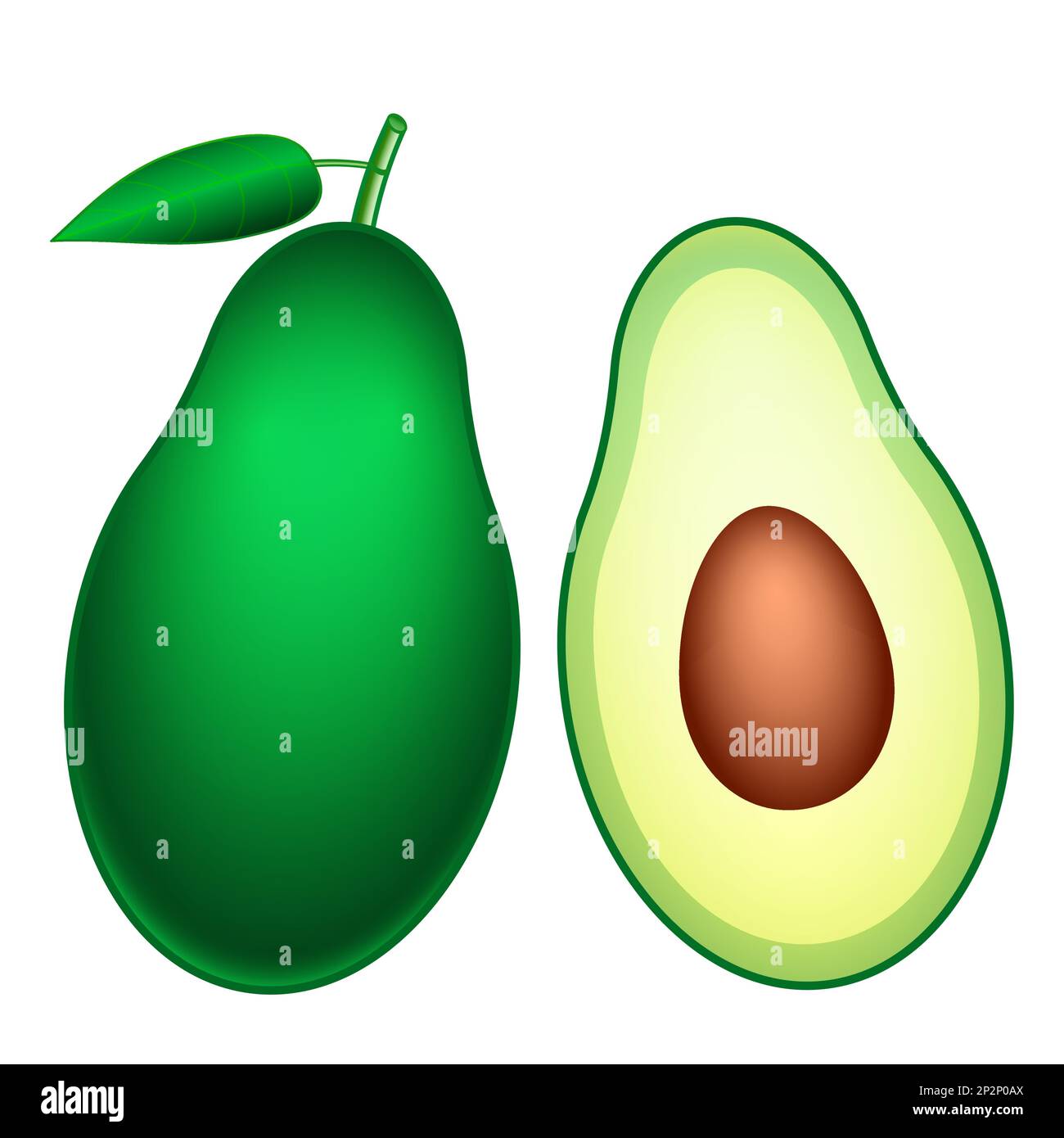 Illustration of fresh avocado fruit, whole and cut in half avocado with ...