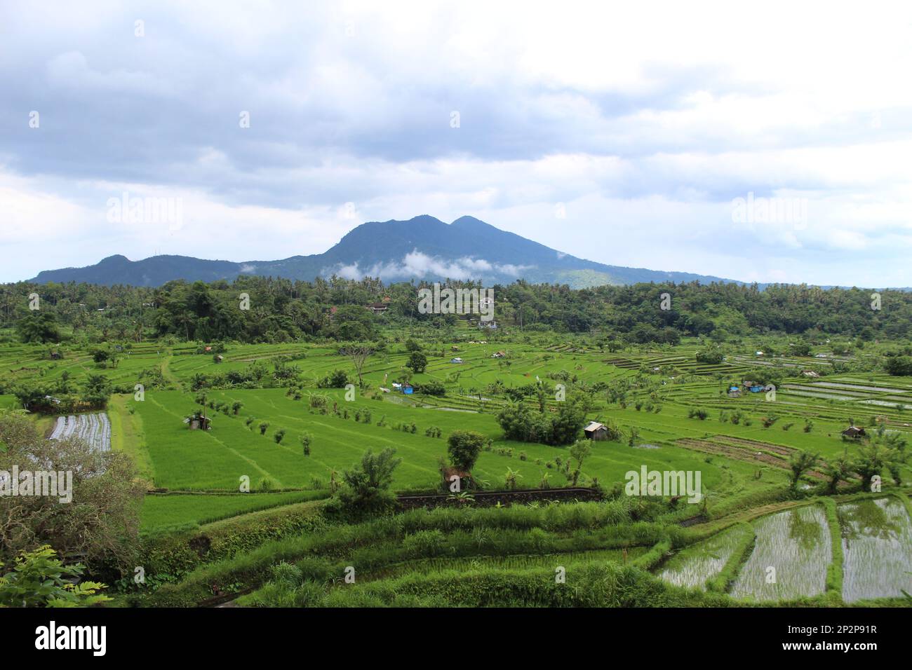 Hills and rice hi-res stock photography and images - Alamy