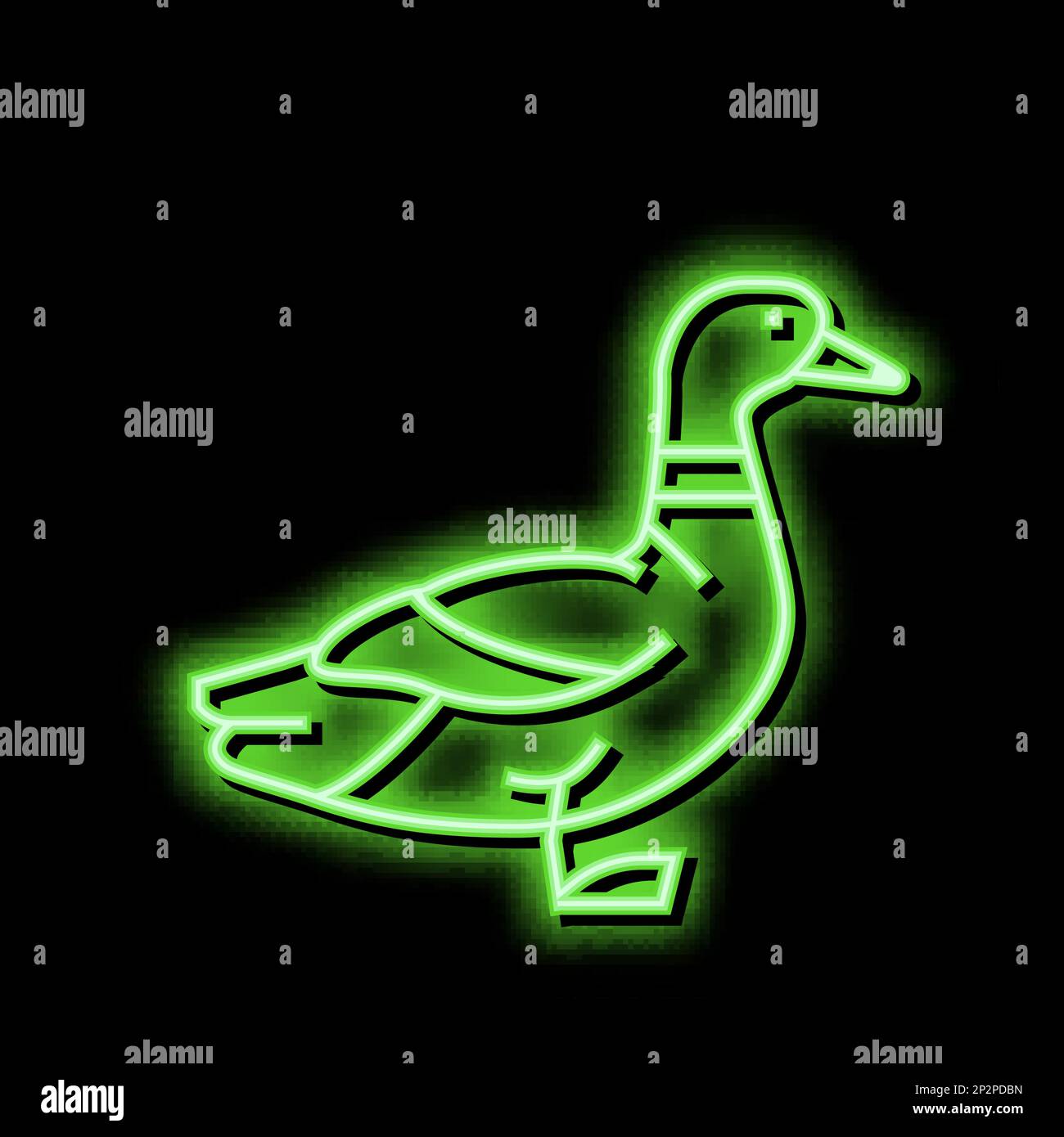 duck bird neon glow icon illustration Stock Vector Image & Art - Alamy
