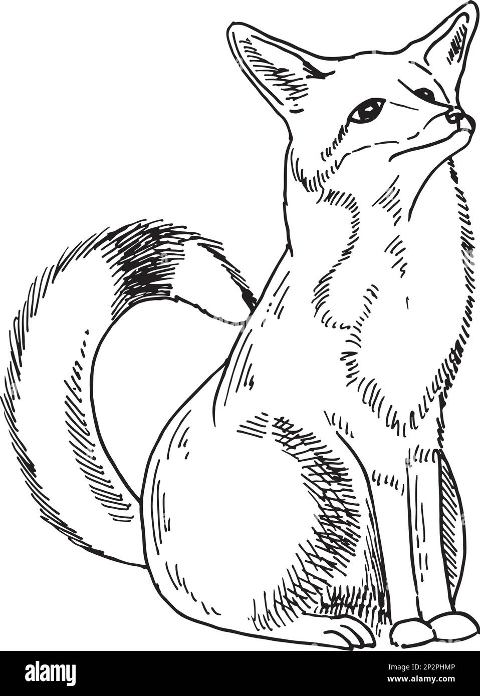 Fox simple Black and White Stock Photos & Images - Alamy