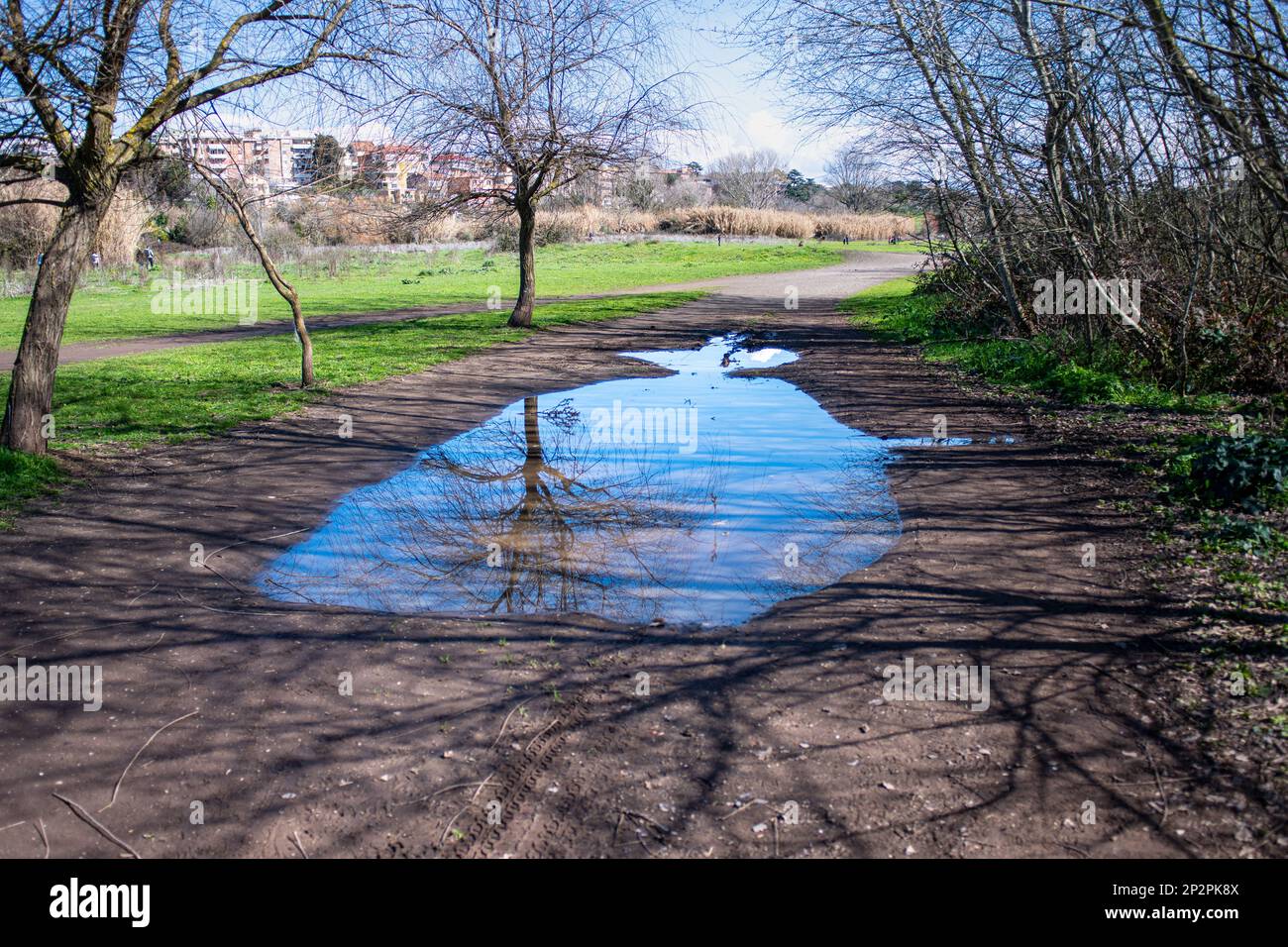 Parco dellappia antica hi-res stock photography and images - Alamy