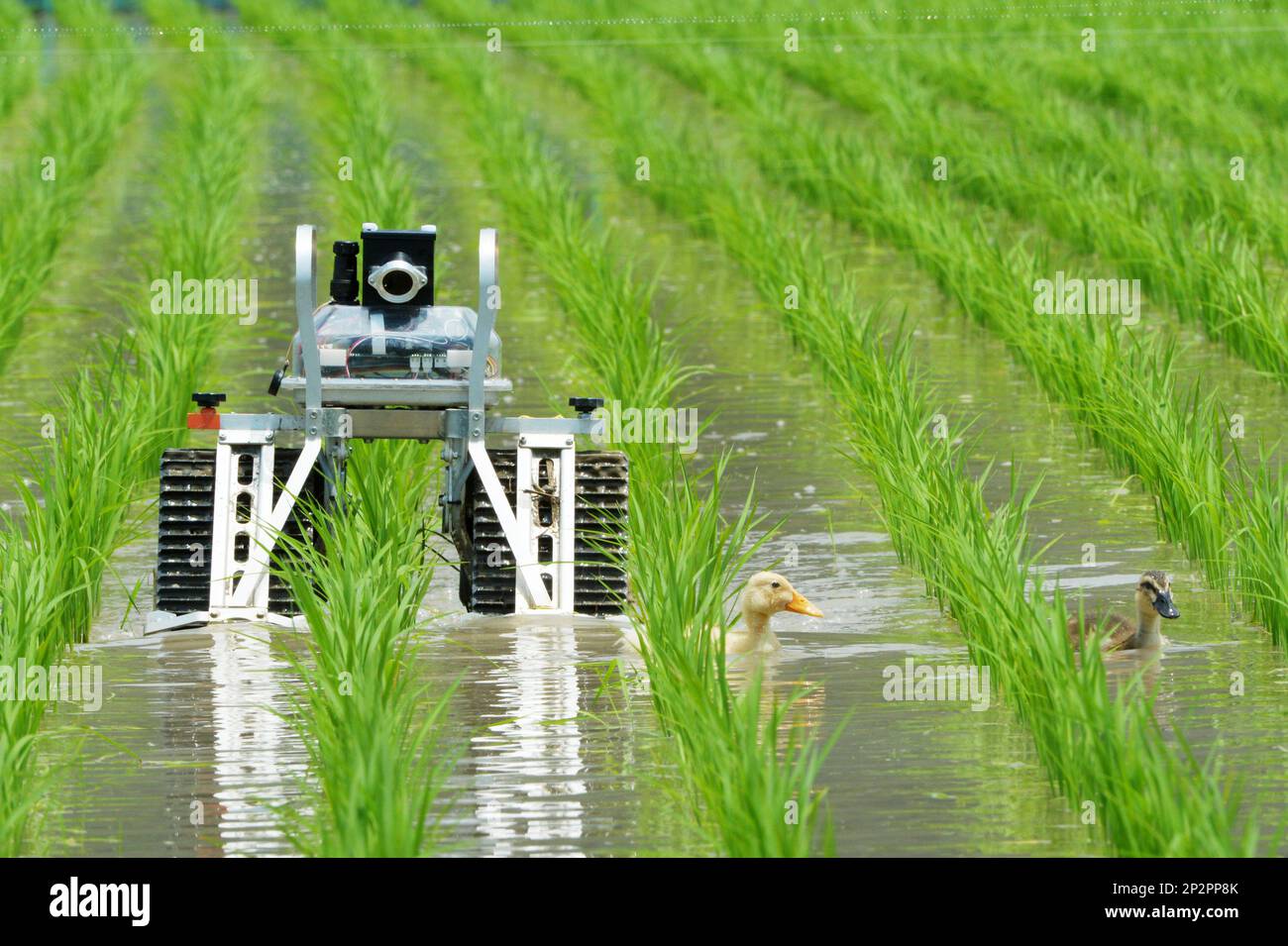 Okayama prefectural government demonstrates a robot to help support to ...