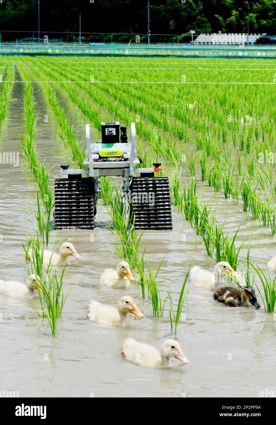 Okayama prefectural government demonstrates a robot to help support to ...