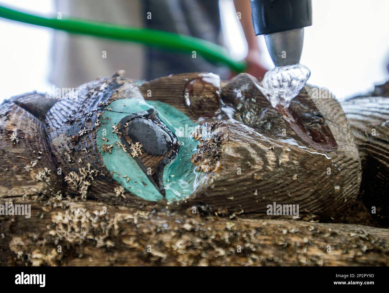 ADVANCE FOR SUNDAY JULY 5 - In this Tuesday, June 23, 2015 photo ...