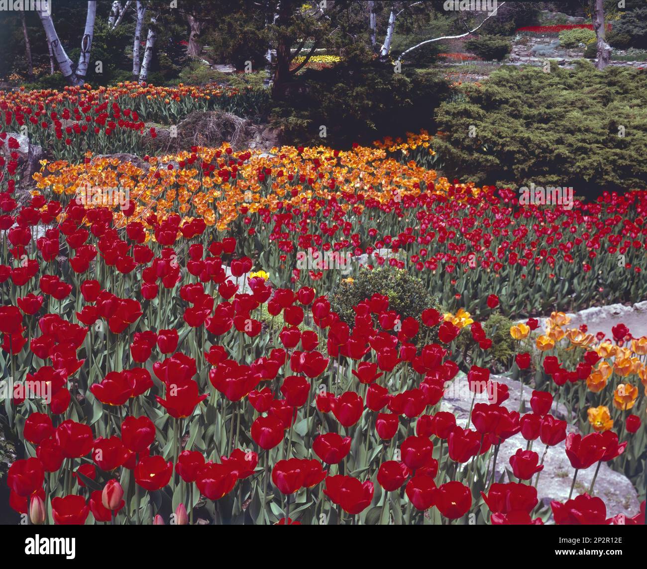 Royal botanical gardens canada hi-res stock photography and images - Alamy